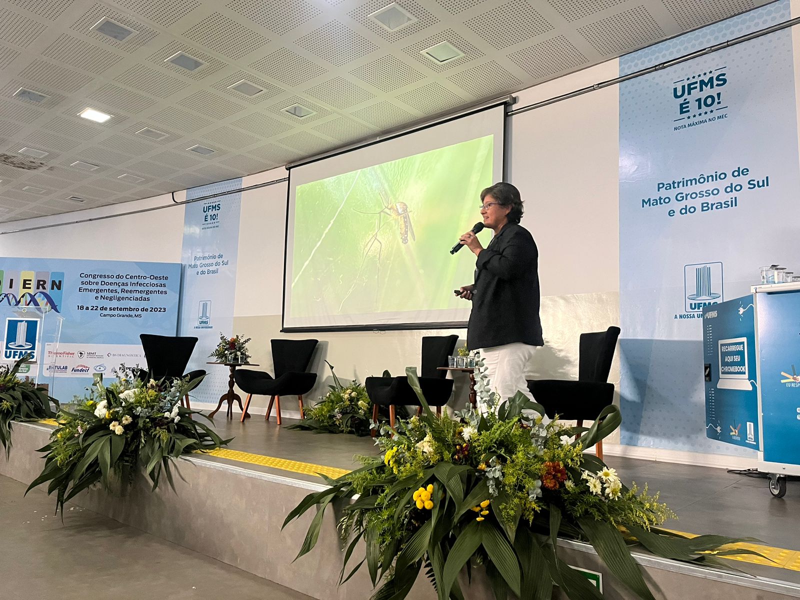 » 8º DIERN: Tarde Produtiva com Enfoque em Infecções Fúngicas e Vetores ...