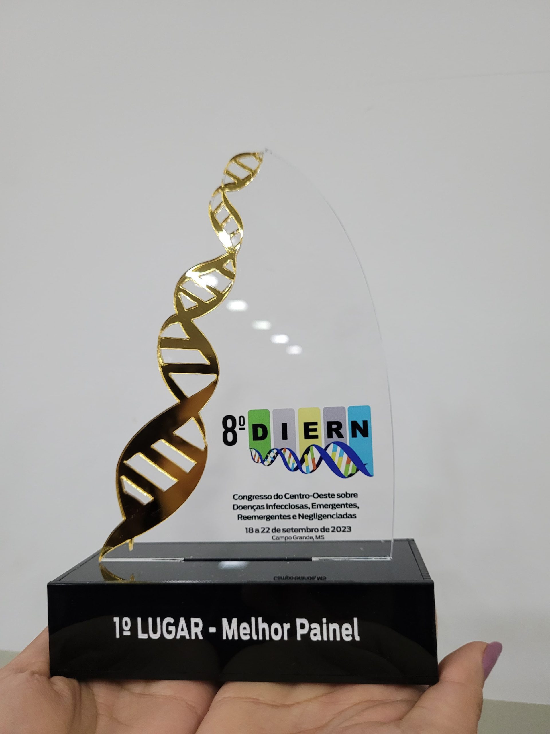 » Cerimônia de Encerramento do 8º DIERN: Uma Celebração do Conhecimento ...